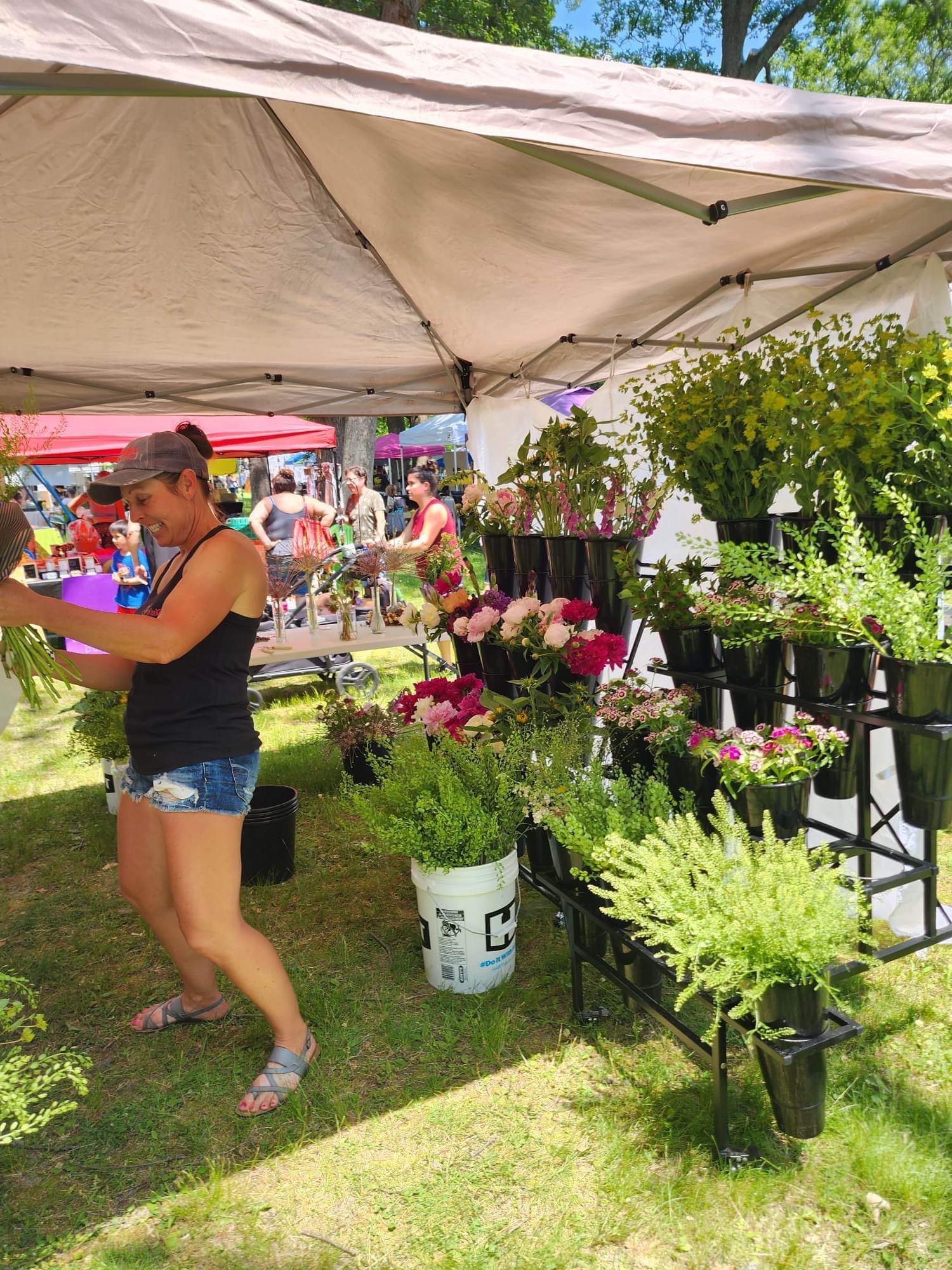 Apply – fforestfest.com